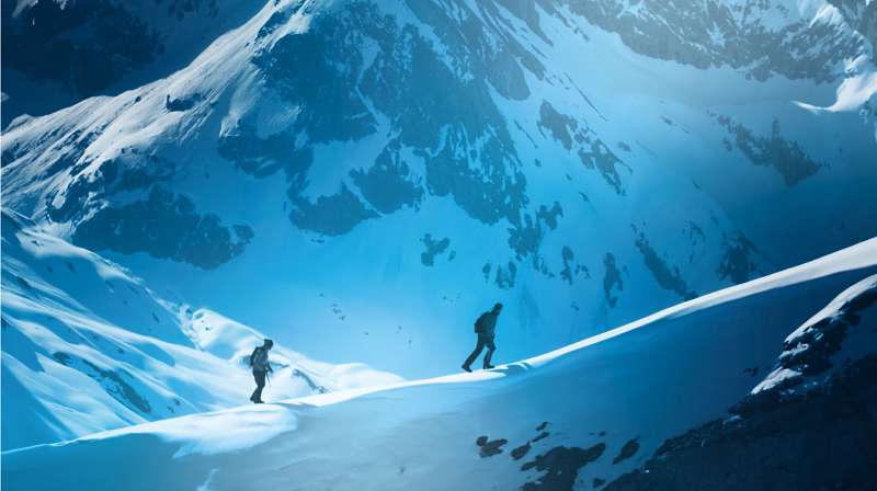 Specialist, investment-led, active fund manager | Polar Capital