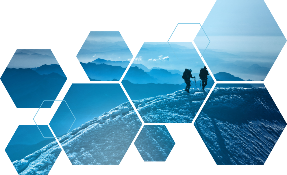 Polar Capital Funds plc - Global Technology Fund