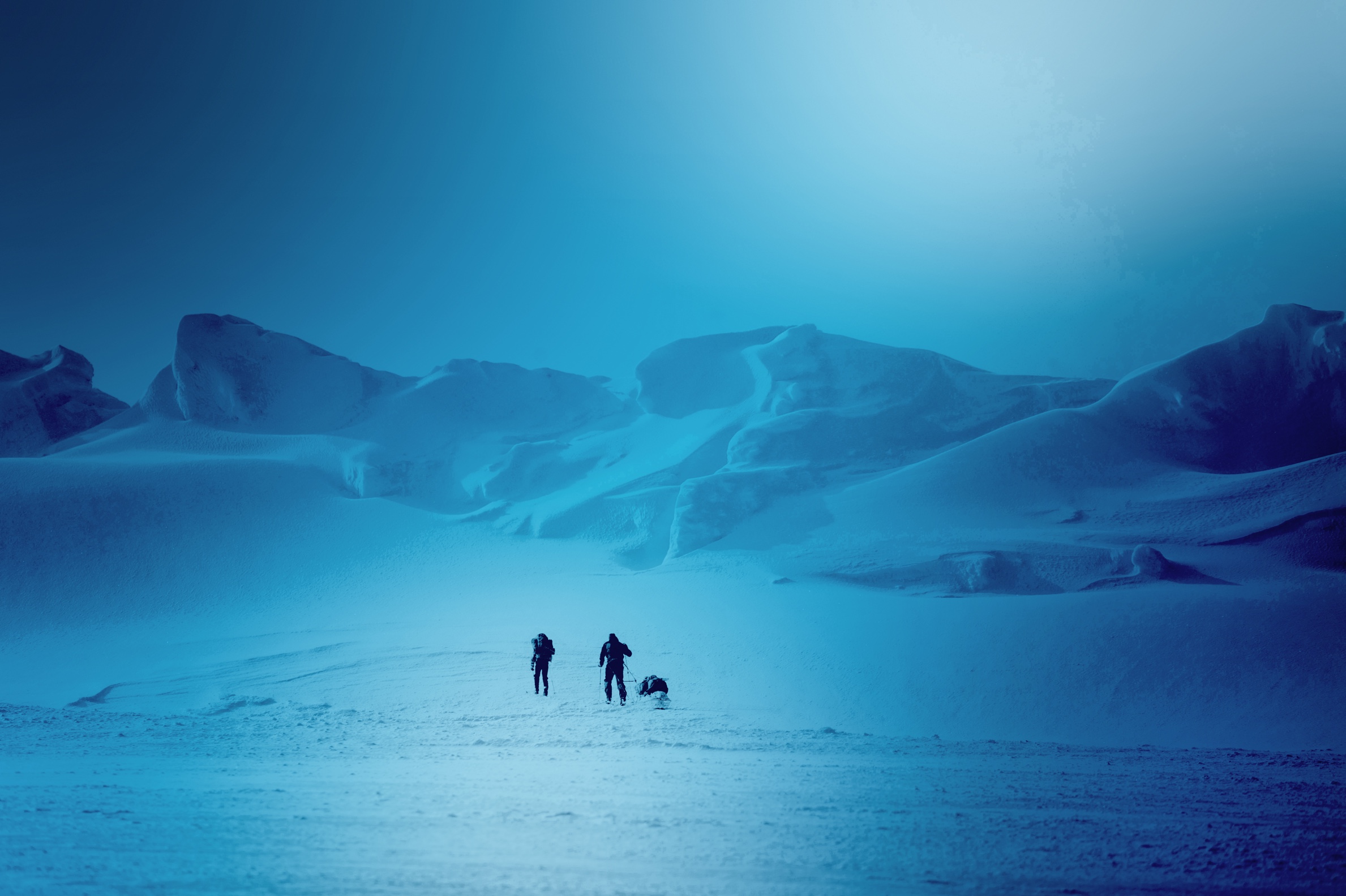 Specialist, investment-led, active fund manager | Polar Capital