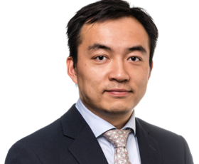 Polar Capital Funds plc - Emerging Market Stars Fund