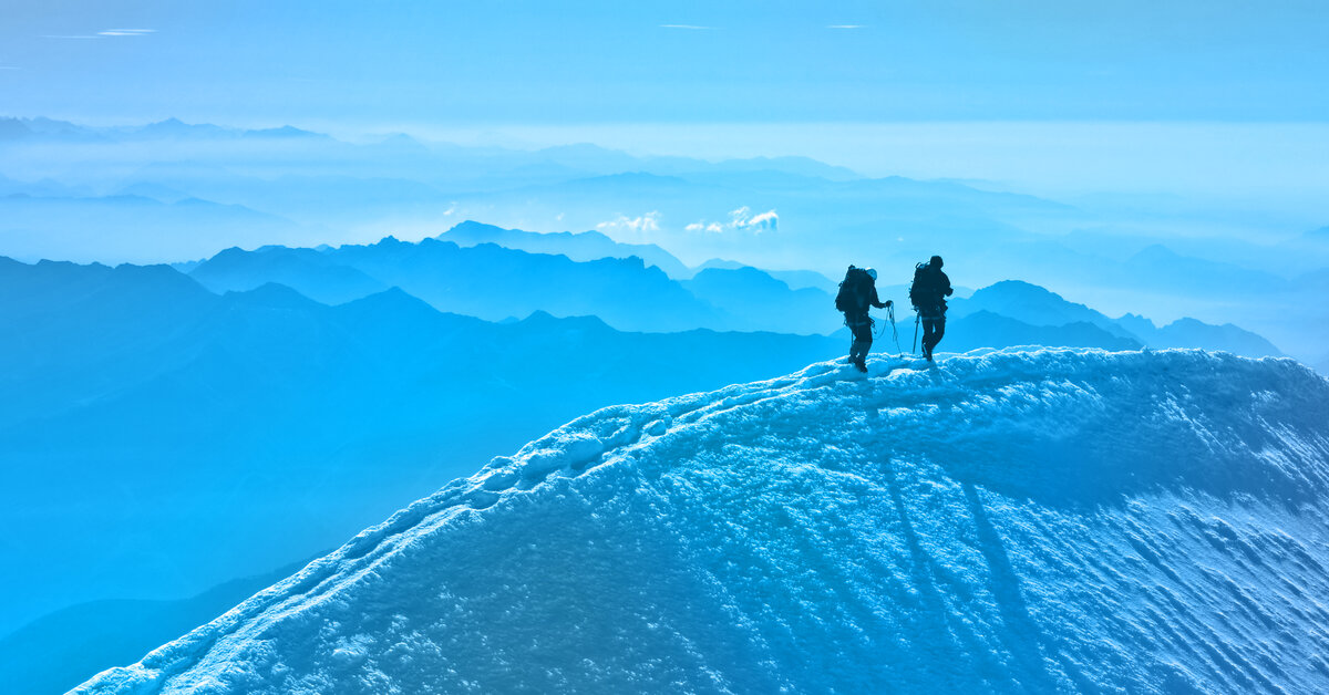 Press Release | Polar Capital