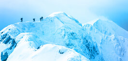 Press Releases | Polar Capital
