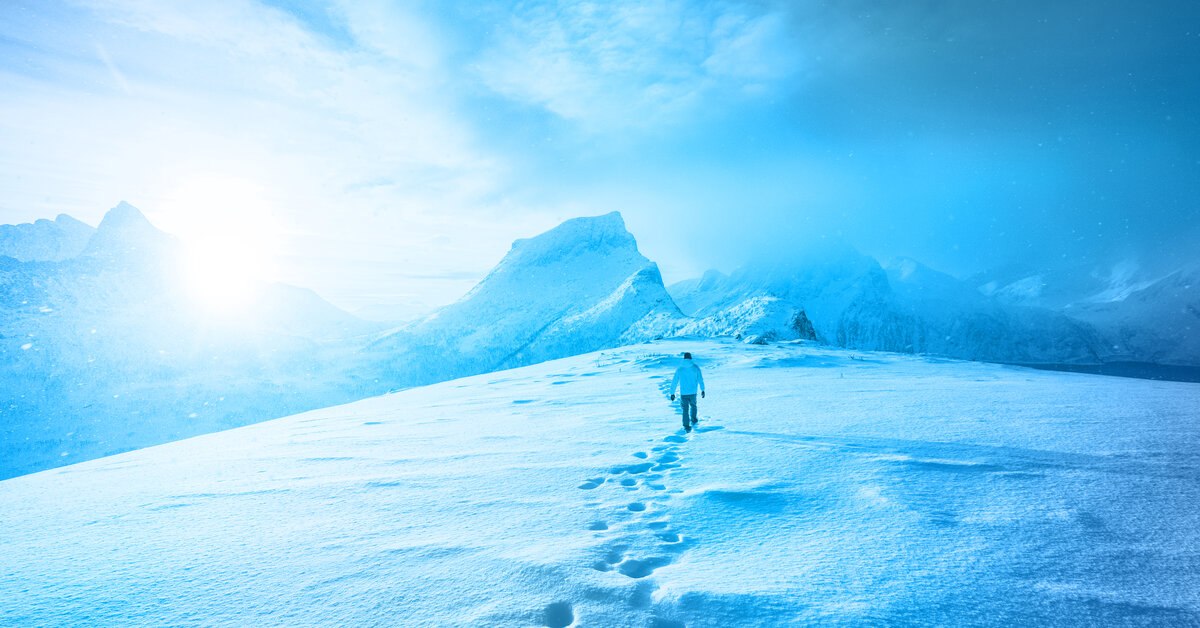 2026 Investment Outlooks | Polar Capital