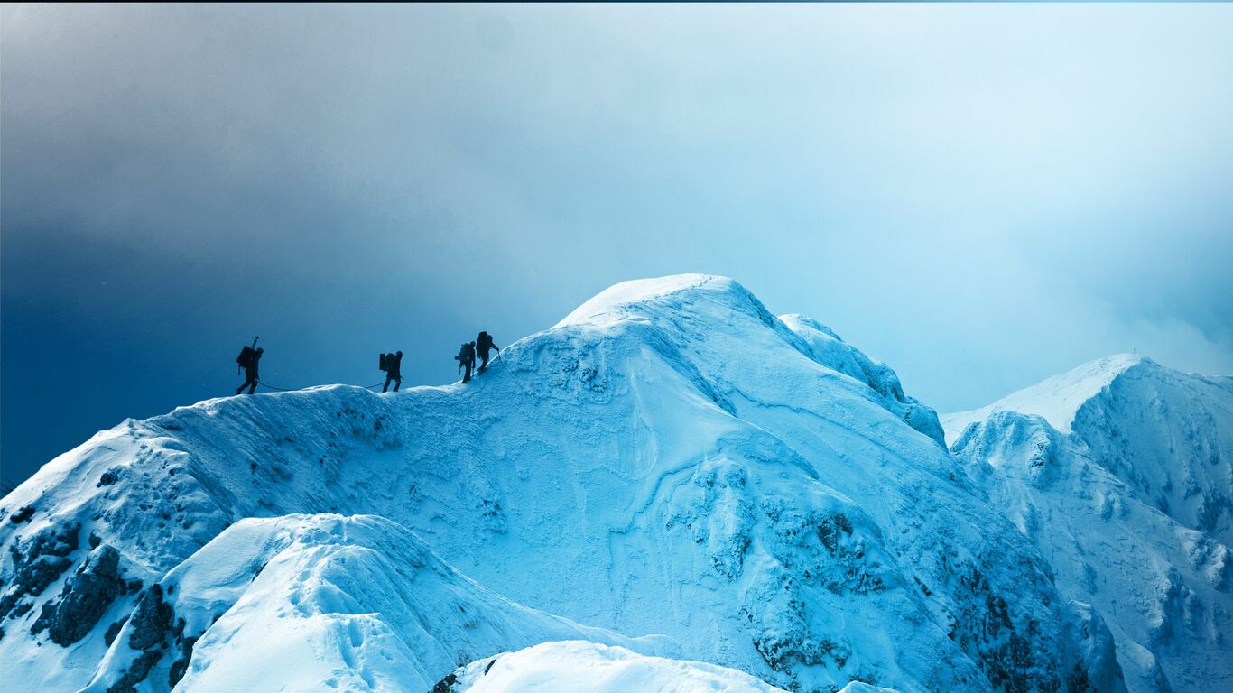 Specialist, investment-led, active fund manager | Polar Capital