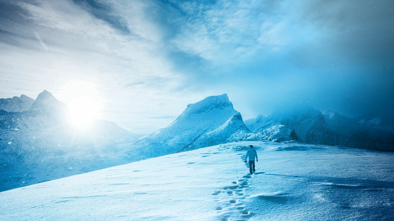 Specialist, investment-led, active fund manager | Polar Capital