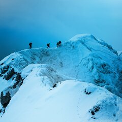 Investment Insights | Polar Capital
