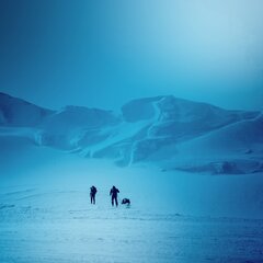 Investment Insights | Polar Capital