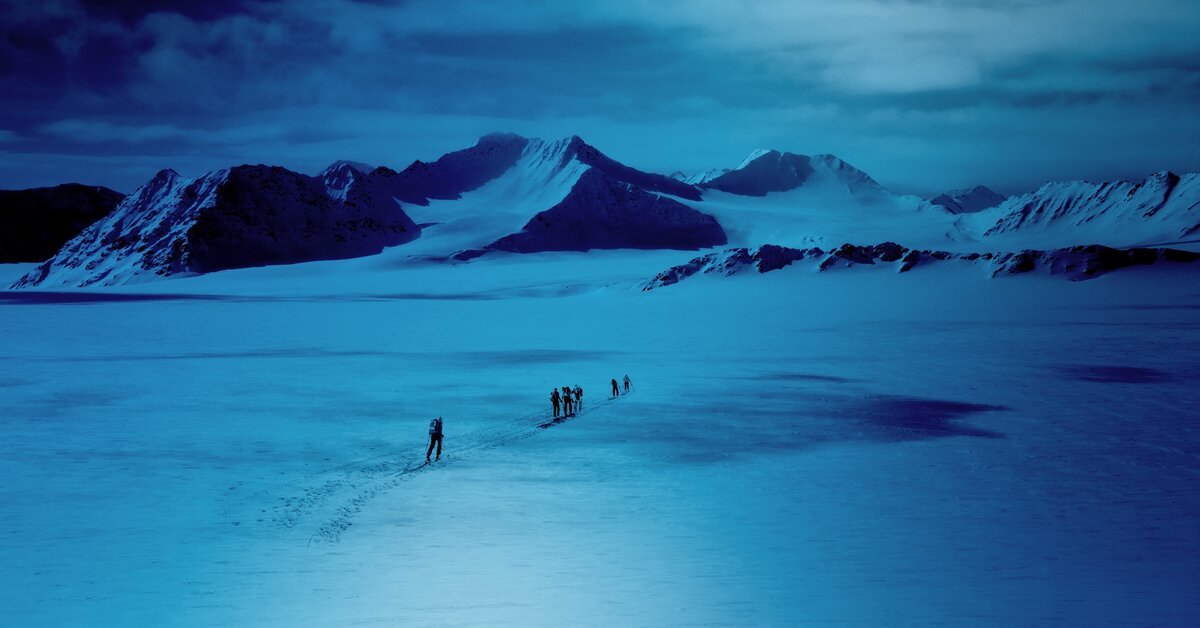 Press Release | Polar Capital
